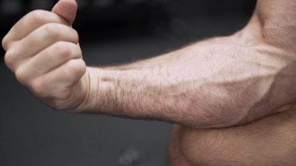 12 and 13 inch forearms , What is the Ideal Size for forearms ? - King Supp