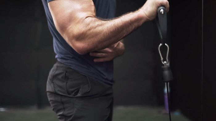 12 and 13 inch forearms , What is the Ideal Size for forearms ? - King Supp