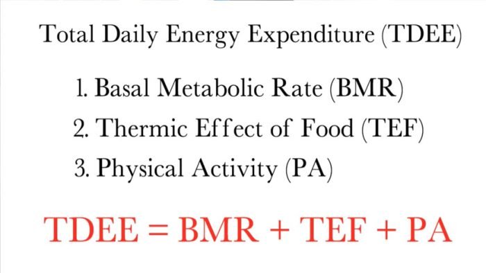 What is the Physical Activity Level (PAL) Index ? How to calculate our ...